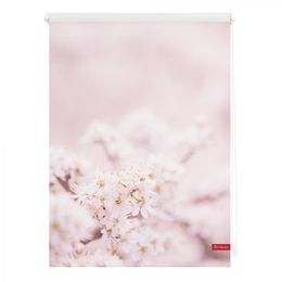 LICHTBLICK Rollo Klemmfix, ohne Bohren, blickdicht, Kirschblüten - Rosa Weiß, 90 cm x 150 cm (B x L)