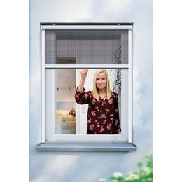 Insektenschutzrollo für Fenster, Schellenberg, verschraubt, Fliegengitter, 160 x 160 cm, weiß, 70894, weiß