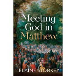 Meeting God in Matthew - Elaine Storkey, Kartoniert (TB)