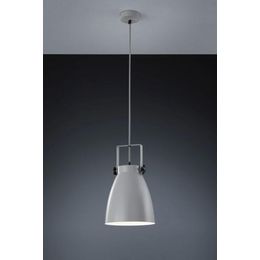 Trio 3006 Pendelleuchte Titan, 1-flammig
