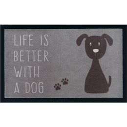 Fußmatte Hund, my home, rechteckig, Höhe: 5 mm, Rutschfest, Tiermotiv, Dog, mit Spruch, Robust, Pflegeleicht, braun|grau