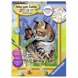 Ravensburger Malen nach Zahlen Katze mit Schmetterling, Made in Europe, FSC® - schützt Wald - weltweit, bunt