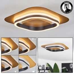 hofstein Valduge Deckenleuchte LED Gold, Schwarz, 1-flammig