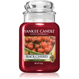 yankee candle Black Cherry Duftkerze Classic medium 623 g