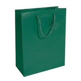 5 Sigel Geschenktaschen grün 26,0 x 33,0 cm