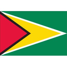 flaggenmeer Flagge Flagge Guyana 110 g/m² Querformat