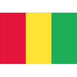 flaggenmeer Flagge Flagge Guinea 110 g/m² Querformat