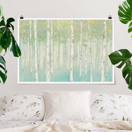 Bilderwelten Poster Wald gr&uuml;n modern matt gl&auml;nzend selbstklebend - Birkenwald bei Sonnenaufgang - B&auml;ume Wohnzimmer Schlafzimmer