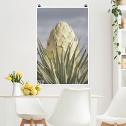 Bilderwelten Poster gr&uuml;n Tropisch matt gl&auml;nzend selbstklebend - Frucht des Josuabaumes - Pflanzen Wohnzimmer Schlafzimmer