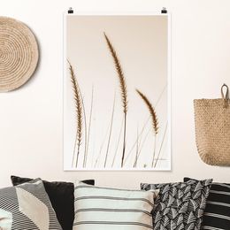 Bilderwelten Poster beige Motiv matt gl&auml;nzend selbstklebend - Feldgras in Sepia II - Wohnzimmer Schlafzimmer