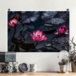 Bilderwelten Poster Blumen schwarz Tropisch matt gl&auml;nzend selbstklebend - Wasserlilien - Pflanzen Wohnzimmer Schlafzimmer