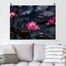 Bilderwelten Poster Blumen schwarz Tropisch matt gl&auml;nzend selbstklebend - Wasserlilien - Pflanzen Wohnzimmer Schlafzimmer