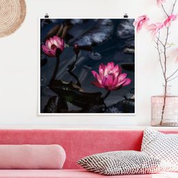 Bilderwelten Poster Blumen schwarz Tropisch matt gl&auml;nzend selbstklebend - Wasserlilien - Pflanzen Wohnzimmer Schlafzimmer