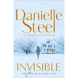 Pan Macmillan Invisible - Danielle Steel, Kartoniert (TB)