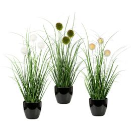 Kunstgras Grasbusch mit Kletten, LEONIQUE, Höhe 35 cm, Kunstpflanze, Gras, im Topf, 3er-Set, grün|schwarz