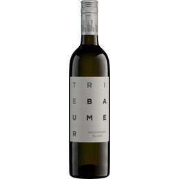 Triebaumer 2023 Sauvignon Blanc Rust trocken