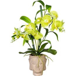 Kunstorchidee Orchideen-Bambus-Arrangement im Buddhakopf Orchidee, Creativ green, Höhe 60 cm, grün