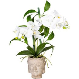 Kunstorchidee Orchideen-Bambus-Arrangement im Buddhakopf Orchidee, Creativ green, Höhe 60 cm, weiß
