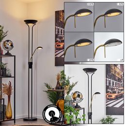 hofstein Rom Deckenfluter LED Schwarz, 2-flammig