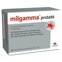 WÖRWAG PHARMA Milgamma protekt Filmtabletten 60 St