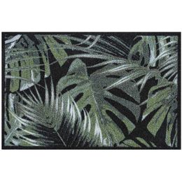 MD-Entree - md Entree Ambiance Eingangsmatte - Teppichmatte - Küchenteppich: 50x75 cm, palm leaves