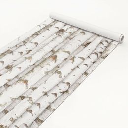 MICASIA Klebefolie Birke - Birkenwand aus weißen Birkenstämmen - Holzfolie selbstklebend Größe HxB: 250cm x 100cm