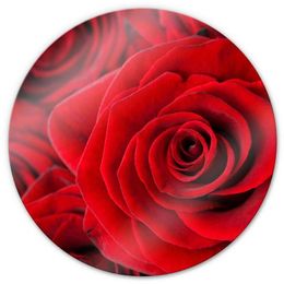 K&L WALL ART Bedrucktes Sicherheitsglas Wandbild Rund Glasbild romantische Rose Fotografie floral ø 70cm - rot