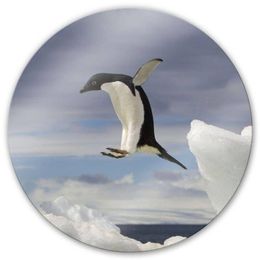 K&L WALL ART Bedrucktes Sicherheitsglas Wandbild Rund Glasbild fliegender Pinguin Badezimmer ø 50cm - grau