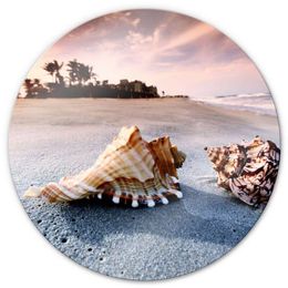 K&L WALL ART Bedrucktes Sicherheitsglas Wandbild Rund Glasbild Maritim Badezimmer Strand Muschel ø 70cm - bunt