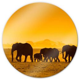 K&L WALL ART Bedrucktes Sicherheitsglas Wandbild Rund Glasbild Elefanten Safari Afrika Silhouette ø 50cm - gelb