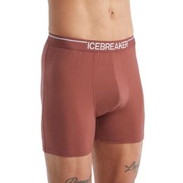 Icebreaker Merino Anatomica Boxershorts - Mann - Grape - Größe S