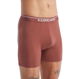 Icebreaker Merino Anatomica Boxershorts - Mann - Grape - Größe L