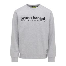 Bruno Banani Sweatshirt 'King' male Grey size XL