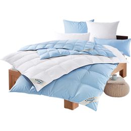 OBB Bett