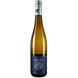 Weingut Georg Siben Erben Georg Siben Erben 2021 Forst Riesling VDP.ORTSWEIN trocken