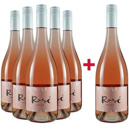Weingut Knauß Knauß 2022 5+1 Paket Secco Rosé halbtrocken BIO