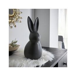 Hase Black