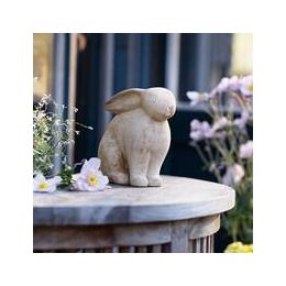 Hase Albert