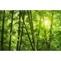 BambooForest xxl 5 fototapete bambus natur 267 x 400 cm (4 Teile) Jetzt Fototapeten günstig kaufen - 267 x 400 cm (4 Teile) - Grün