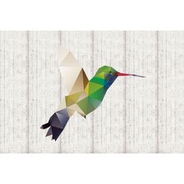 Hummingbird xxl 5 fototapete tiere betonoptik vögel 267 x 400 cm (4 Teile) Fototapeten bei Bricoflor kaufen - 267 x 400 cm (4 Teile) - Grau, Grün