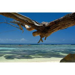 Seychellen XXL World Trip fototapete meer strand 267 x 400 cm (4 Teile) Fototapeten online entdecken - 267 x 400 cm (4 Teile) - Blau, Braun