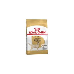 Essen Royal Canin Labrador Retriever Erwachsener Erwachsener und Maduro Dog (ab 15 Monaten) - 12 kg