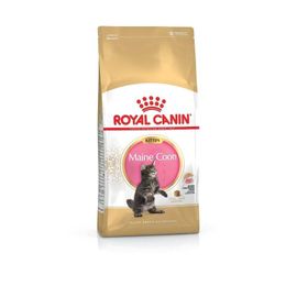 Essen Royal Canin Kitten Maine Coon fЩr Ktzchen - 10 kg