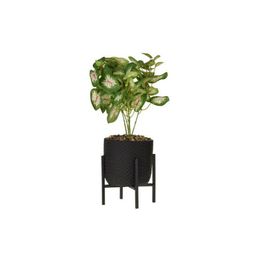 Home Styling Collection - Kunstpflanze mit einem Ständer green zone, ø 10 cm