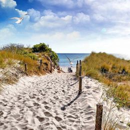 Bricoflor - Leinwand Bild mit Möwen am Meer | Strand Wandbild mit Dünen ideal für Schlafzimmer und Badezimmer | Maritimes Leinwandbild mit Strandkorb