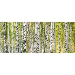 Bricoflor - Birkenwald Tapete in Grün und Schwarz Weiß | Wald Fototapete mit Birken ideal für Flur und Wohnzimmer | Vlies Fototapete mit Bäumen