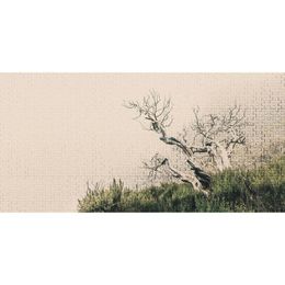 Baum Fototapete besonders | Ausgefallene Tapete mit Puzzle Motiv und Landschaft | 3D Vlies Fototapete in Grau Grün ideal für Büro und Flur - 270 x