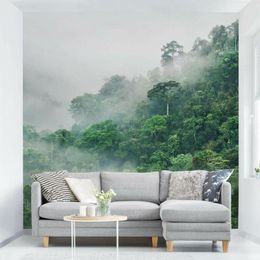 MICASIA - Vliestapete - Dschungel im Nebel - Fototapete Quadrat Größe HxB: 240cm x 240cm