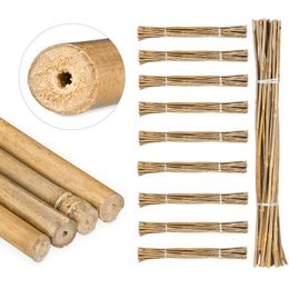 Relaxdays 250 x Bambusstäbe 105cm, aus natürlichem Bambus, Bambusstangen als Rankhilfe oder Deko, Bambusrohre zum Basteln, natur