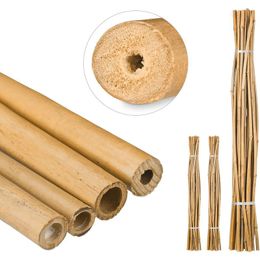 Relaxdays 75 x Bambusstäbe 150cm, aus natürlichem Bambus, Bambusstangen als Rankhilfe oder Deko, Bambusrohre zum Basteln, natur